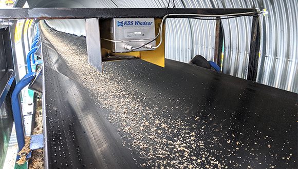 Real Time Wood Moisture Measurement System - KDS Windsor